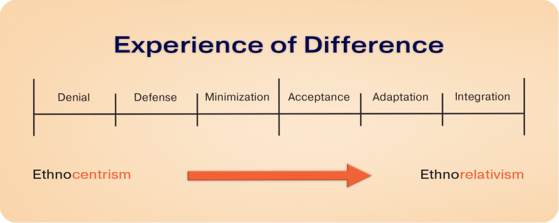 DMIS Model - IDRInstitute